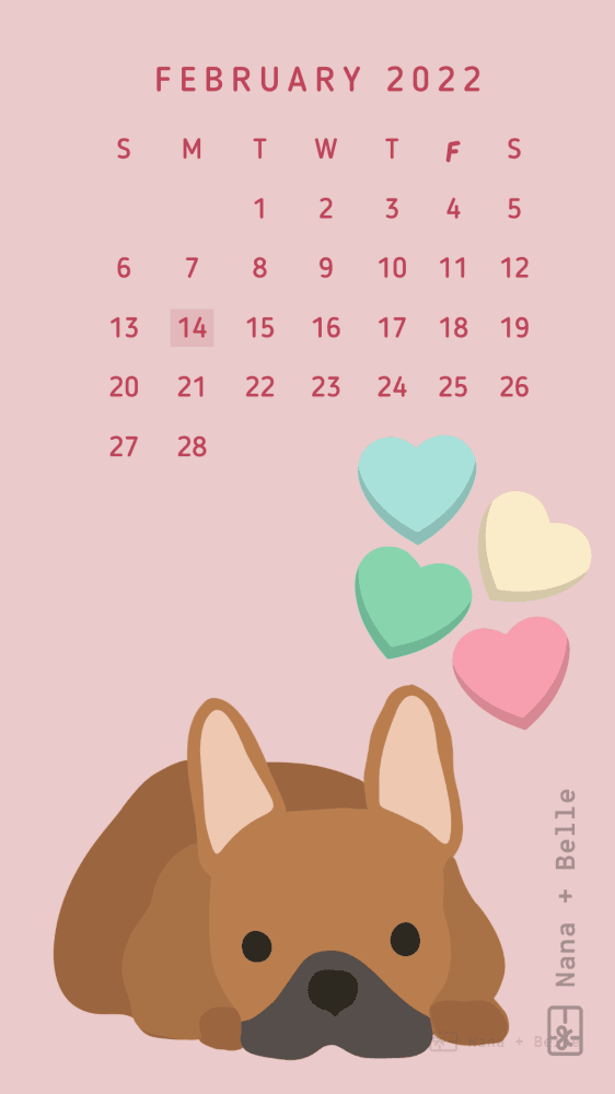 Free February Frenchie Phone wallpaper calendar – Nana + Belle